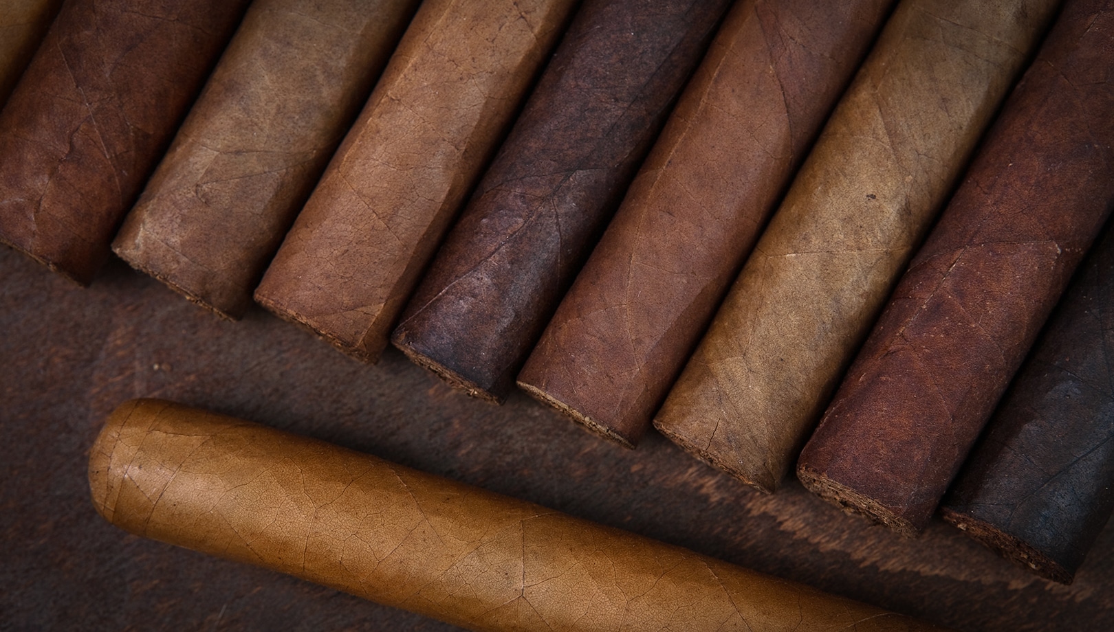 Vente de cigares haut de gamme - Cigar Quality